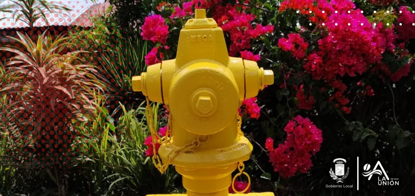 Proyecto de hidrantes - Municipalidad de la Unión